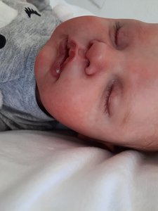 Fabulous Reborns - Reborns and Reborn Baby Dolls