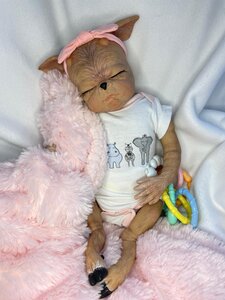 Reborn Dolls and Lifelike Baby Dolls