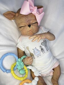 Reborn Dolls and Lifelike Baby Dolls