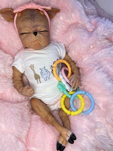 Reborn Dolls and Lifelike Baby Dolls