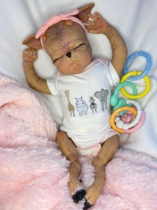 Reborn Dolls and Lifelike Baby Dolls