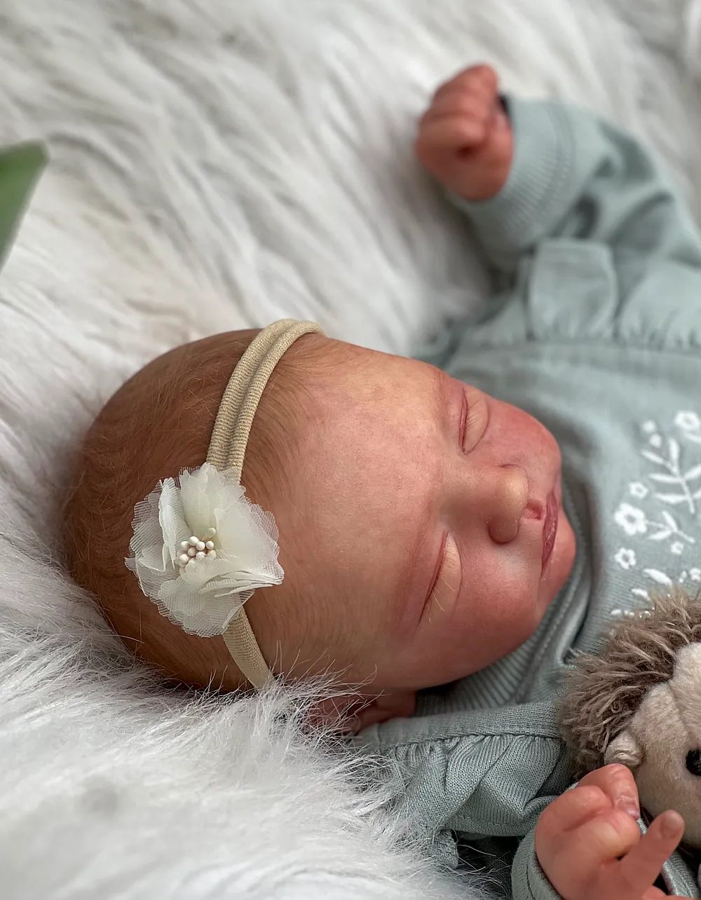 Molly reborn doll for sale by Alicia Garner | Alicia's Angels Reborn ...