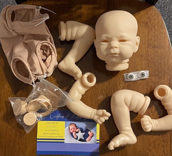 by Brittany Shoemaker from Lady Bugs Nursery on Reborns