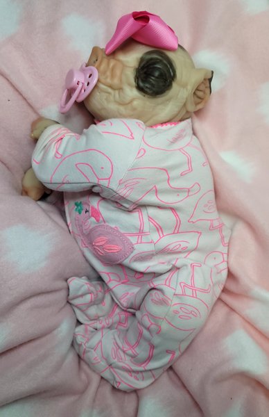 Petal Pig by Meaghan Fronabarger from Doodlebug's Reborn Nursery on Reborns