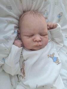 Sweet Swaddles Nursery - Reborns and Reborn Baby Dolls