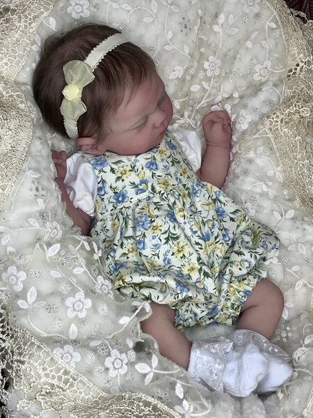 Reborn Dolls and Lifelike Baby Dolls