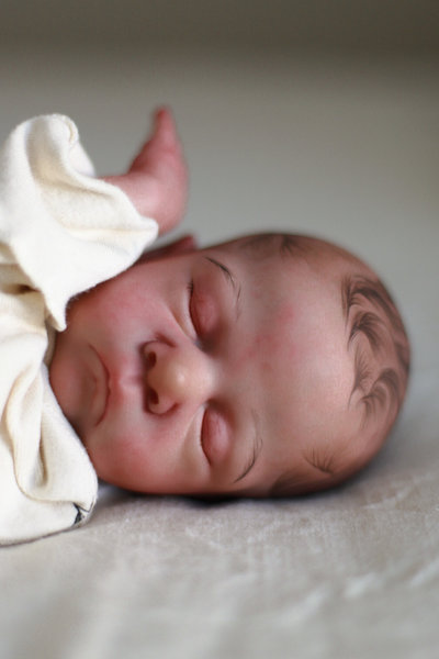 Pip by Neysa Brandon from Wildbloombabies on Reborns