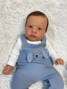 Jessa’s reborn babies - Reborns and Reborn Baby Dolls