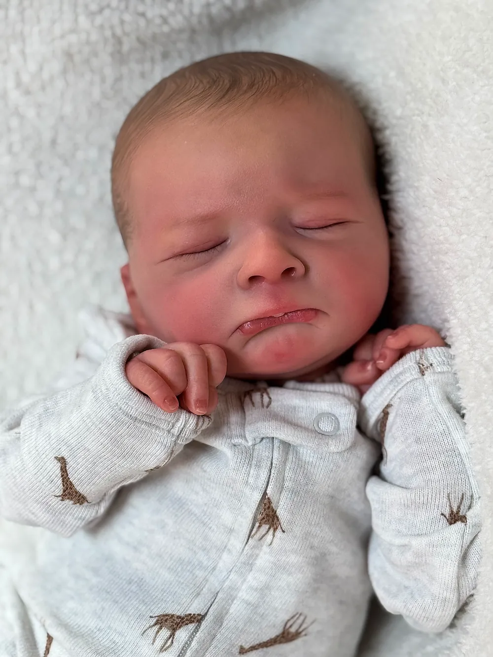 Milan 2 by Laura Inglis from Lavender lullaby on Reborns