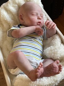 Reborn Dolls and Lifelike Baby Dolls