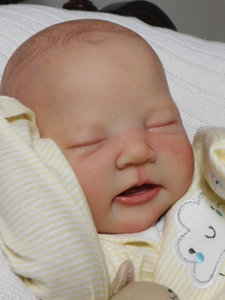 Reborn Dolls and Lifelike Baby Dolls