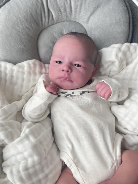 Ruby by Holly paz precious paz from Baby Bee Nursery on Reborns