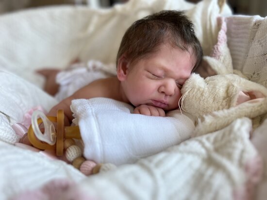 Tadeos Sis Silicone Reborn Baby Doll by Bonnie Bel | Babylux Nursery
