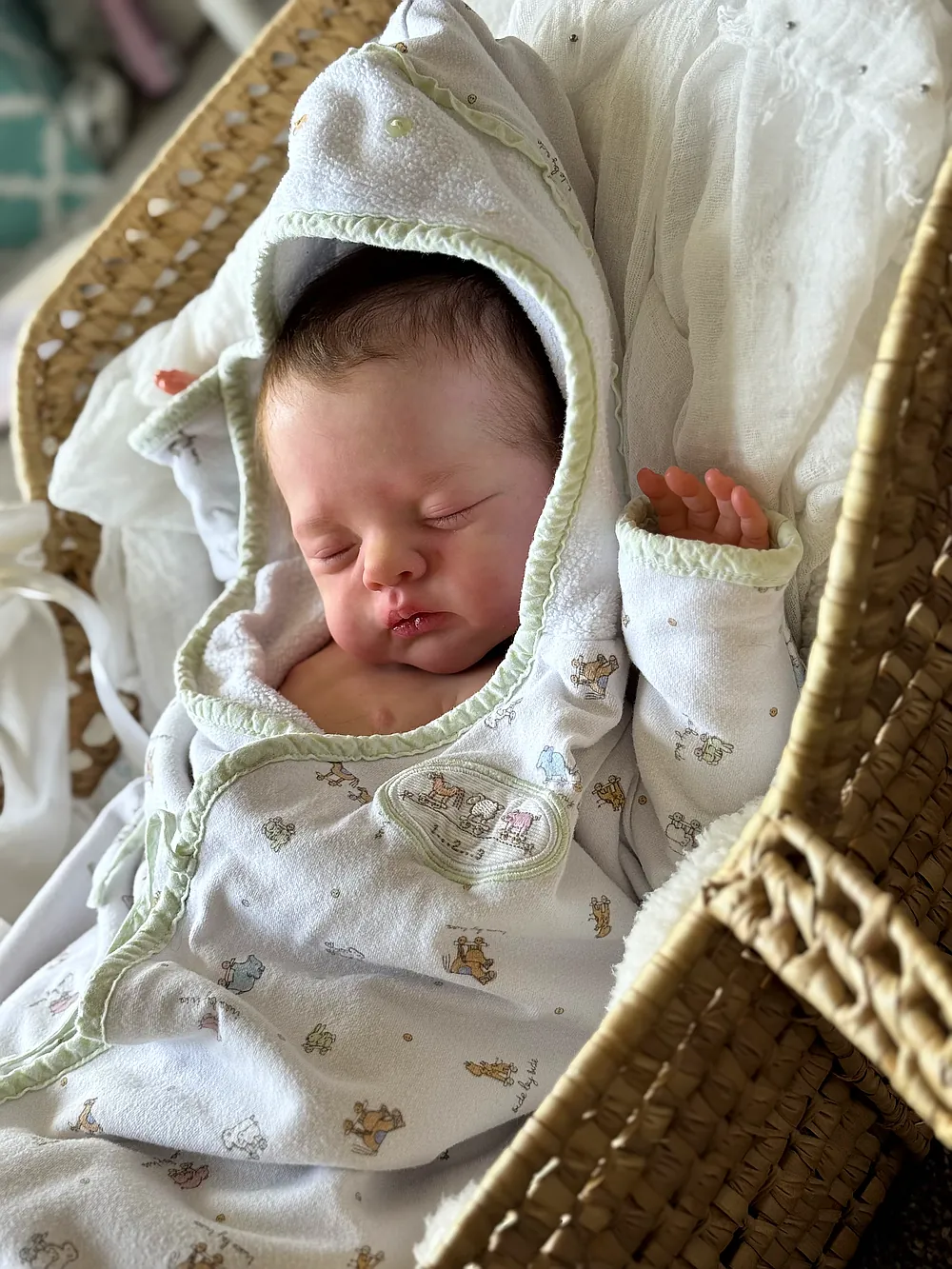 by Bonnie Bel from Babylux nursery on Reborns