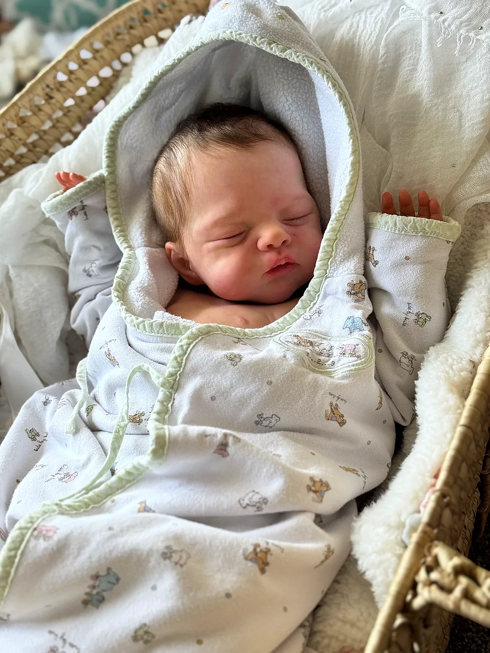 by Bonnie Bel from Babylux nursery on Reborns