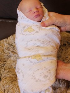 Rizzie Got Sprinkles Nursery - Reborns and Reborn Baby Dolls