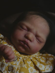 Privilege Reborn Silicone - Reborns and Reborn Baby Dolls