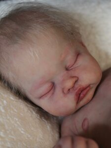 Privilege Reborn Silicone - Reborns and Reborn Baby Dolls