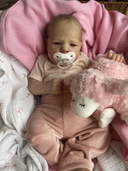 Ruby Awake by Denise Cranford from Vejjie Baby Nursery on Reborns