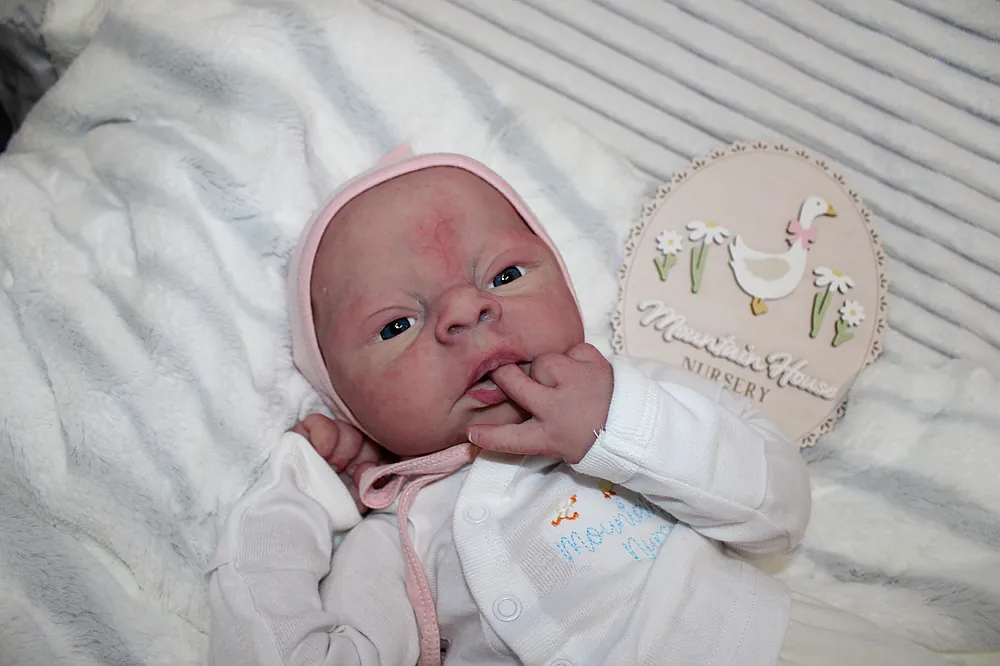 Irelyn Silicone Reborn Baby Doll by Yuritzi Cardenas | Yuritzi Cardenas ...