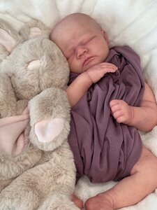 Reborn Dolls and Lifelike Baby Dolls