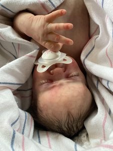 A Baby Changes Everything - Reborns and Reborn Baby Dolls