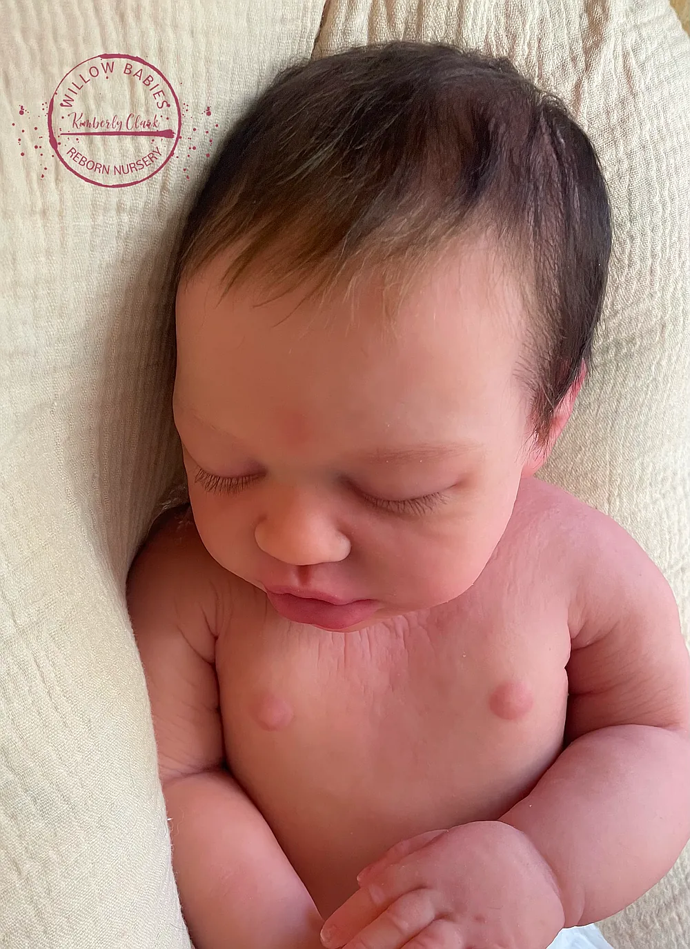 Virginia silicone reborn doll for sale by Kimberly Clark | Willow ...