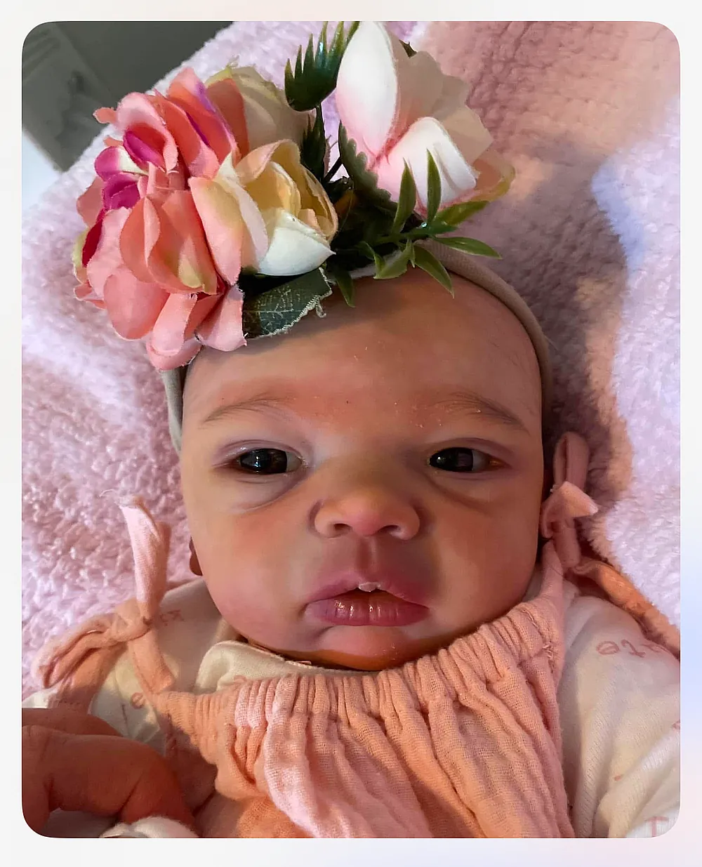 Celine cuddle reborn doll by Cassandra Kates | Southern Sweetness Nursery