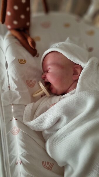 Maria First Cry by Sharyn marsh from Sharyn Marsh on Reborns