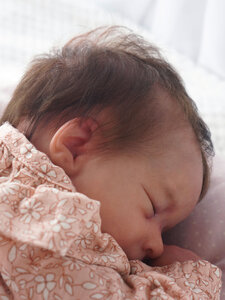 ANDREA LEE MUN - Reborns and Reborn Baby Dolls