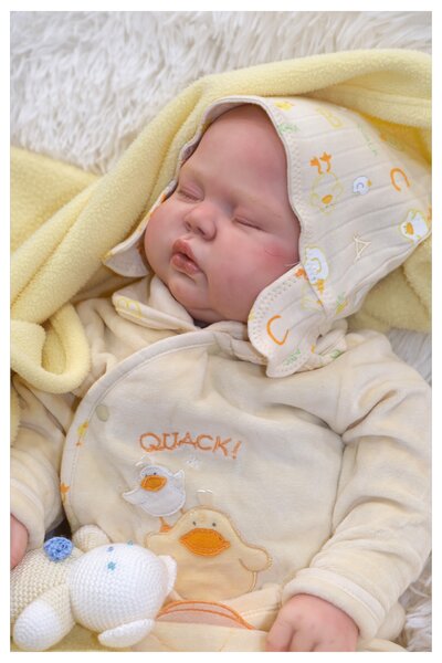 Pickle by Lorraine Smith from Newborn Nebula Nursery on Reborns