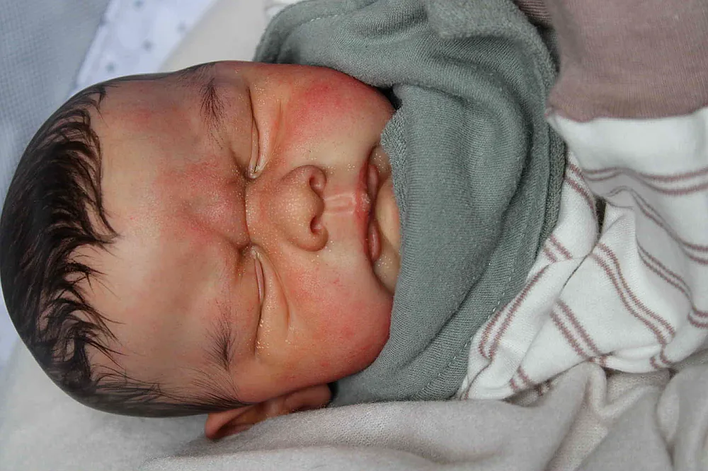 by Shiloh Carte from Carte Reborn Babies Nursery on Reborns