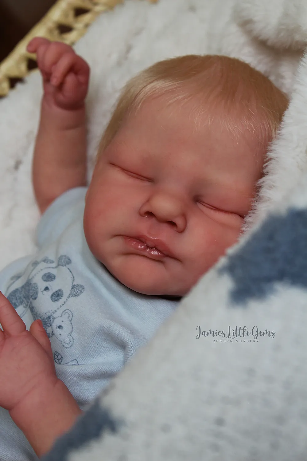 by Jamie Coffey from JamiesLittleGemsNursery on Reborns