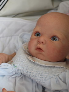Wee Mountain Babies - Reborns and Reborn Baby Dolls