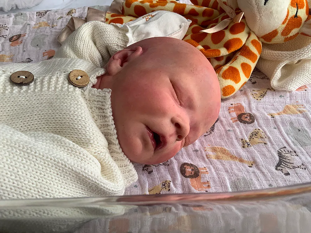 Darren Silcone Cuddle Reborn Baby Doll by Virginia V. | Heavenly Angels ...