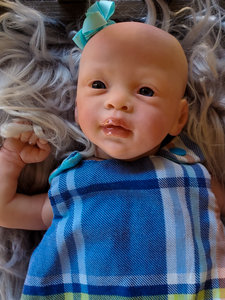 Reborn Dolls and Lifelike Baby Dolls