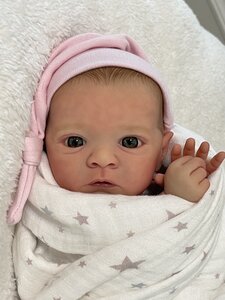 Sweet Dreams Reborn Artistry - Reborns and Reborn Baby Dolls