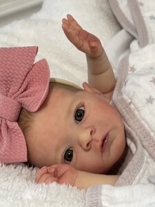 Sweet Dreams Reborn Artistry - Reborns and Reborn Baby Dolls
