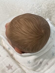 Sweet Dreams Reborn Artistry - Reborns and Reborn Baby Dolls