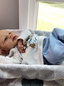 Reborn Dolls and Lifelike Baby Dolls