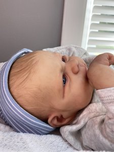 Reborn Dolls and Lifelike Baby Dolls