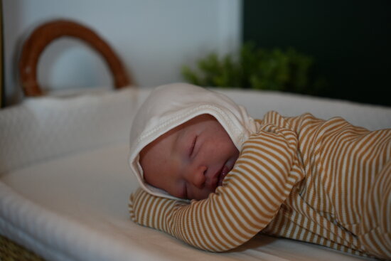 by Brenda Perez from Ellie & Day Reborns on Reborns