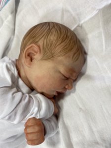 Beautiful Babys Nursery - Reborns and Reborn Baby Dolls