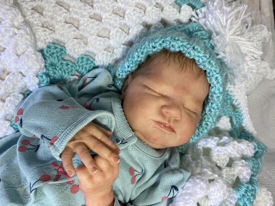 Beautiful Babys Nursery - Reborns and Reborn Baby Dolls