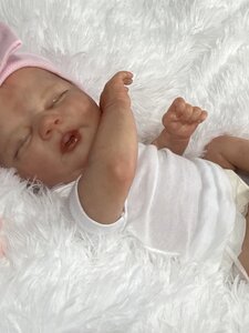 Beautiful Babys Nursery - Reborns and Reborn Baby Dolls