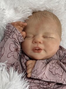 Beautiful Babys Nursery - Reborns and Reborn Baby Dolls