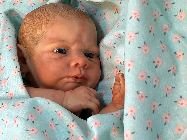 Beautiful Babys Nursery - Reborn Baby Dolls - Reborns.com