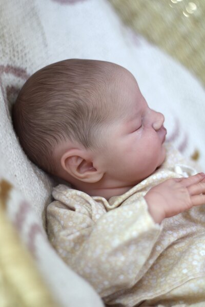 Quinlyn by Sara McKee from Sunflower Babies Nursery on Reborns