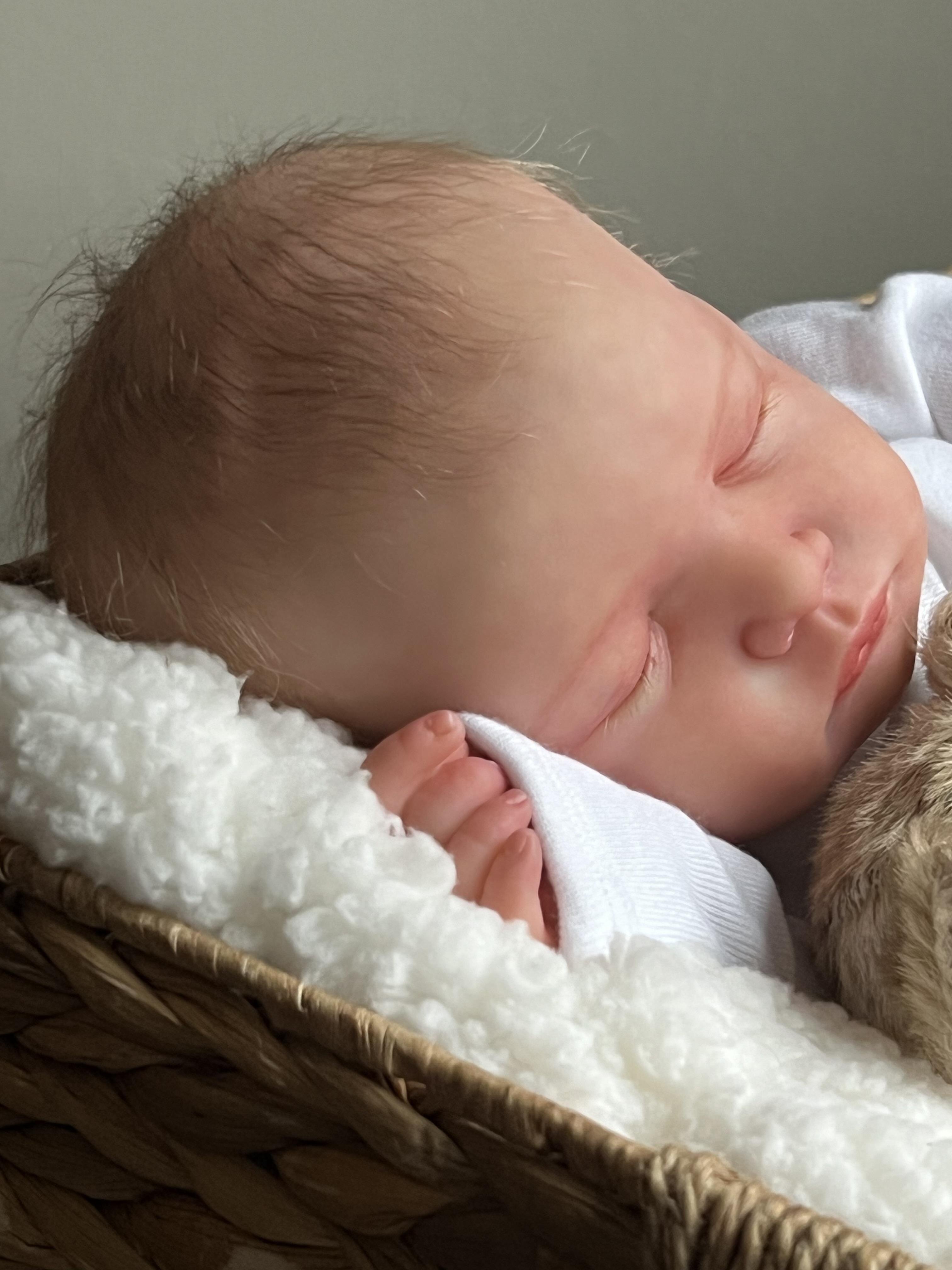 Renee by Colleen Walter from A-List Babies on Reborns