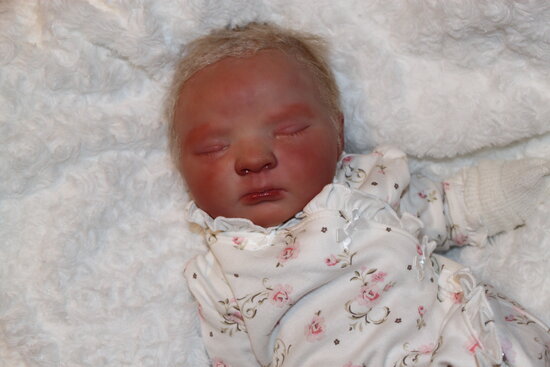 Carol by Pumpkin Sparkles Babies of sweet honey bees - reborns.com
